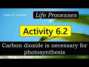 Activity 6.2 | Class 10 | Science