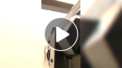 Iowa’s Trumpeter swan population reaches record nesting levels - NewsBreak