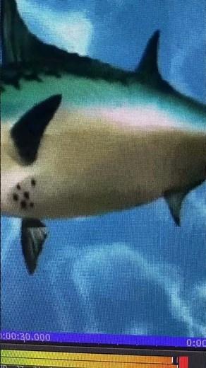 SpongeBob SquarePants Intro (Backwards)