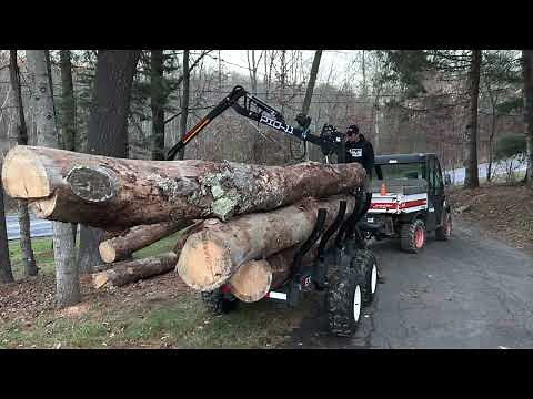 CX9t - CaMex Log Loader Trailer - Part 02 of 02