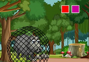 Snout Net Escape - Escape Fan