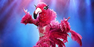 Who is the Flamingo on 'The Masked Singer' Season 2? A Major Contender Just Denied Her Involvement