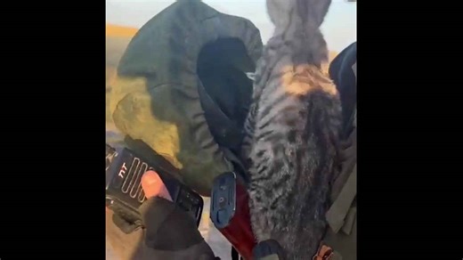 22 conscripts and a cat were rescued by Russian soldiers in Kursk region