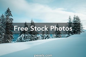 Falling Snow Photos, Download The BEST Free Falling Snow Stock Photos & HD Images