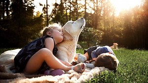 357K views · 628 reactions | If you want to infuse more light and...