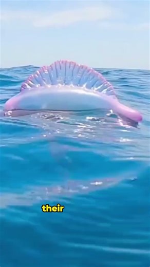 NEVER Touch This Balloon! 🎈🚫