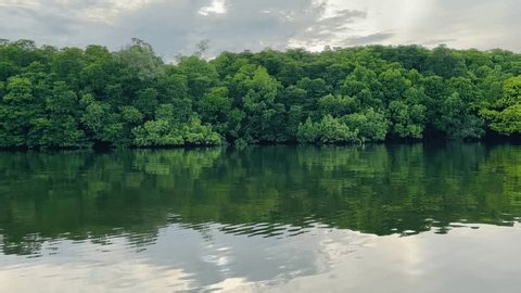 clip-3968136811-type-ecosystem-that-still-very-natural-complete