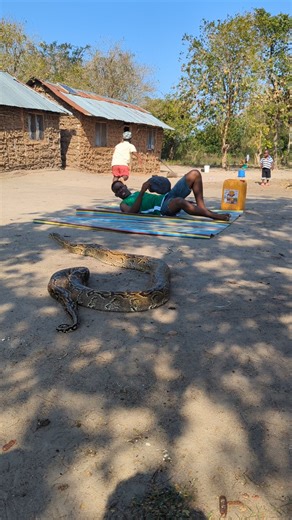 Will you run snake or stay🐍🐍🐍 | SnakeWorld TV