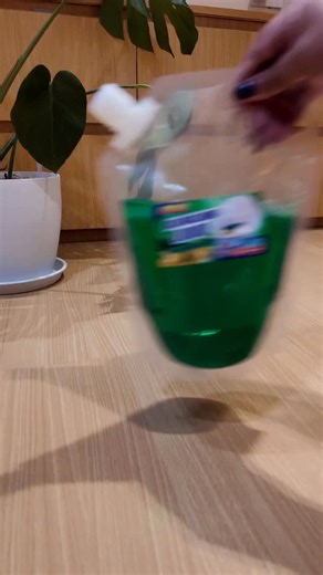 1.9K views · 13 reactions | i'm just a girl who loves making random things at home  in today's episode, we're making dishwashing liquid. cos a bottle a month gets super expensive and here's how we beat inflation  discovered how easy it is to make (get carried away too much and you just might end up supplying for the whole barangay hahaha) comment SPARKLY if you want the link! 﫧 | Mayora Frances | Facebook