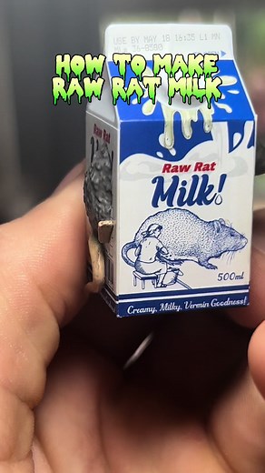 Milking Rats: A Surprising Process Revealed