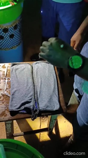 Aquapesca on Instagram: "Always impressed by the meticulousness required for the artificial insemination of penaeus monodon. It's a skill that takes time to master, and every step is carefully considered. No detail is overlooked in this intricate process! It's now our standard practice at our hatchery in Nacala."