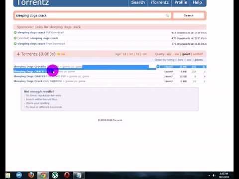 How to Fix all Sleeping Dogs errors [HD]