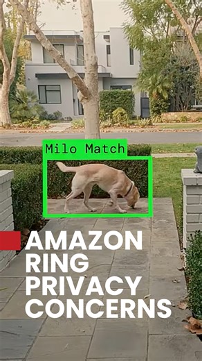 Amazon’s Ring Super Bowl ad showcases AI tracking a lost dog across neighborhood cameras, reigniting concerns over privacy and connected surveillance. | Interesting Engineering
