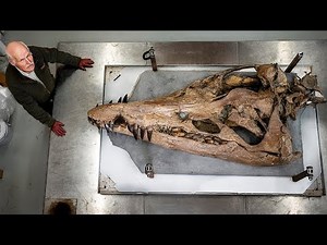 9 Incredibly Well-Preserved Prehistoric Fossil Discoveries!