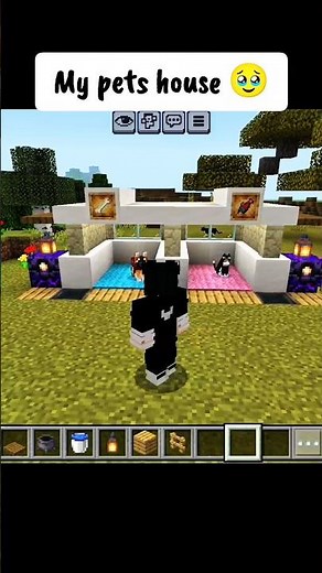 Minecraft : my pets house 🥹 #shorts