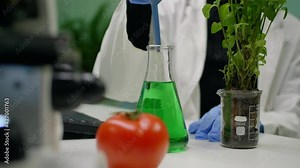 Closeup of botanist reseacher woman taking dna liquid test from medical glass with micropipette putting on sapling analyzing organic growing. Scientist examining agriculture in botanical lab
