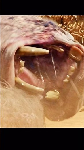 Alien Battlefield #clips