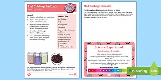 EYFS Red Cabbage Indicator Science Experiment and Prompt Card Pack