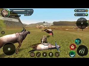 The Cheetah Online Simulator