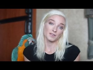 Potty Trained Parrots | FAQ