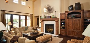 Napoleon Elevation X36 Direct Vent Gas Fireplace - Napoleon Model #EX36NTEL