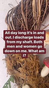 It’s not as naughty as it sounds #riddle #jokes #funny #viral | Dana's Brainteasers