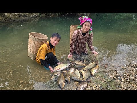 Fishing skills, Highland boy casts his net to catch stream carp, harvesting 20 kg of carp to sell.