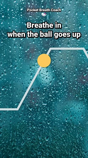 This guided box breathing exercise follows a simple, steady rhythm: * Inhale for 4 seconds * Hold for 4 seconds * Exhale for 4 seconds * Hold for 4 seconds When you slow and structure your breath, you activate the parasympathetic nervous system, which reduces stress, improves focus, and supports emotional balance. ✨ Even a few minutes of this 4-4-4-4 pattern can help calm racing thoughts, steady your heart rate, and give you a mental reset — whether you’re feeling anxious, overwhelmed, or simply