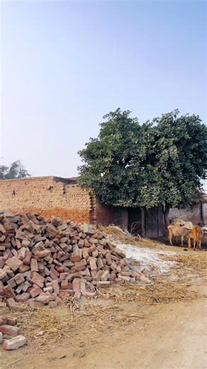 Hun Aja Songs Noorjahn: Celebrating Village Life