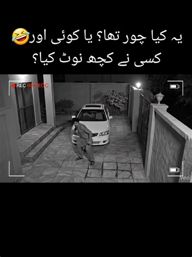 چور کی حقیقت: کچھ نوٹ کیا؟