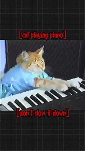 The Cat Video That Sounds Terrifying at 0.25× Speed…#horrorshorts #scary #shorts