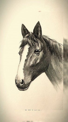 How to Draw a Horse's Head | Pencil Drawing Tutorial