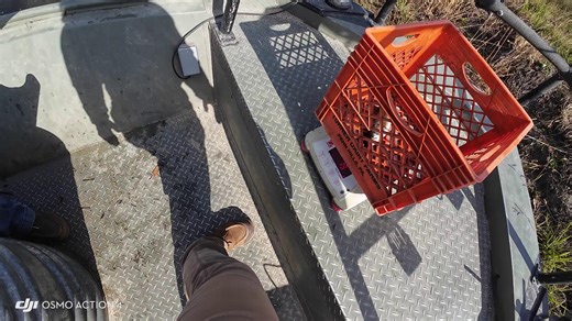 Fall Bass Check-up! 🔬 If you go just a few weeks back in our feed, you'll see a lot of posts about Black Bass electrofishing and sampling. Electrofishing isn't just for show—it's a critical part of fisheries management. We specifically focus on bass sampling in the fall so we can measure their condition (or plumpness) going into winter. Why? 🔵Winter Survival: Fish need to build up energy reserves (fat) to survive the cold months when feeding slows down. A fish in poor condition has a much lowe