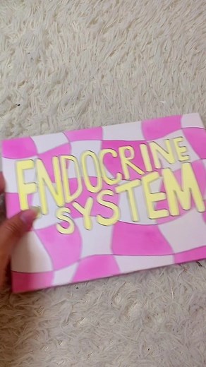 f.homework studio บน TikTok