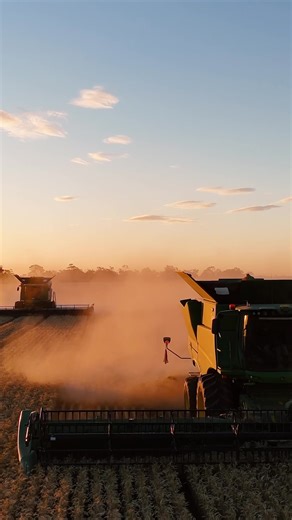 BB Harvesting's Successful Year in Agriculture