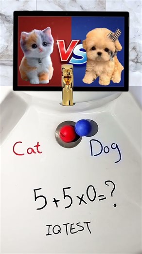 ​Cat 🐱 vs Dog 🐶 | ONLY GENIUS CAN SOLVE! #Shorts