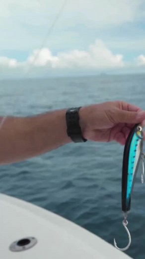 8.7K views · 309 reactions | Looks like fish fingers to me! The Ultimate Game Fish. #mahimahi #dorado #panamafishing #panama #gulfofchiriqui #fishingdestinations #fishing #sportfishing #angling #angler #fishingvideos #fishingvideo #tunafishing #roosterfishing #fishingcharters | Local Knowledge | Facebook