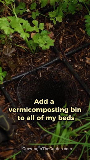 Maximize Your Garden with In-Bed Vermicomposting