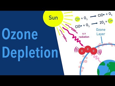 Ozone Depletion and CFCs: Free Radical Breakdown of O3 into O2
