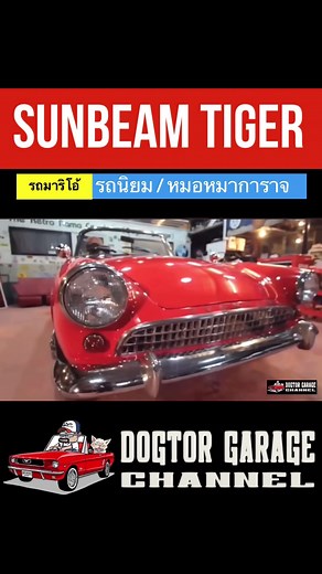 🚩 เก็บงานรถเปิดประทุนฝั่งอังกฤษ ให้น้องมาริโอ้ by หมอหมาการาจ 😁✌🏼 . #Sunbeam #tiger #มาริโอ้ # มอเตอร์ไซค์ #รถยนต์ #classiccar #retrocar #vintage #car #classic #automobile #สุสานรถ #แรงบันดาลใจ #บูรณะรถเก่า #inspiration #oldschool #restoration #dogtorgarage #หมอหมาการาจ #หมอโดมรถนิยม #รถนิยม #รถเก่า #รถซิ่ง #รถแต่ง #รถคลาสสิค #รถวินเทจ #รถเรโทร #รถน่ารัก 📍หมอหมาการาจแชนเนล ➡️ https://youtu.be/jsPwS0DMdjQ?si=0Cv55R6lGYoNlrLK