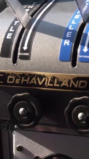 874K views · 18K reactions | Big Alaskan rainbow trout feeding on dry...