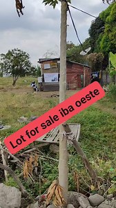 784 reactions · 97 shares | LOT FOR SALE ️️ Iba po este malapit simbahan san Antonio Installment 50% down Bal 1 year to pay. May title kahit pa check sa RD May mga available pa. Kaya pm lang. Agent Maria Terry Reyes Vlog CP 09999645052 #everyoneシ゚ #followersシ゚ #foryoupageシforyou | Maria Terry Reyes Vlog | Facebook