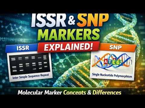 ISSR vs SNP Markers Explained | Molecular Marker Techniques Made Simple |