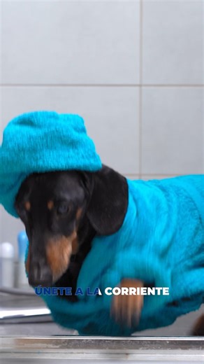 1.9M views · 4.9K reactions | #LaCorrienteQueNosUne |  Para Caracol Televisión, La Kalle y Blu Radio, el medio ambiente es un compromiso. Creemos que, a través de nuestra influencia, podemos invitar a la audiencia a tomar medidas concretas para preservar el agua y fomentar prácticas sostenibles. ♻️ ¡Juntos podemos hacer la diferencia!  ¡No olvides cerrar la llave!  | Caracol Televisión | Facebook