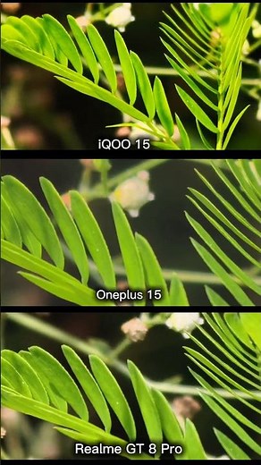 Camera Testing battle iQOO 15 vs Realme GT8 Pro Vs Oneplus 15 Photography Test Camera zoom Testing
