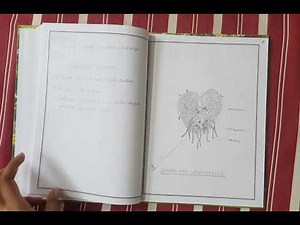 BOTANY PRACTICAL RECORD PLUS TWO SCERT HSSLIVE 2025