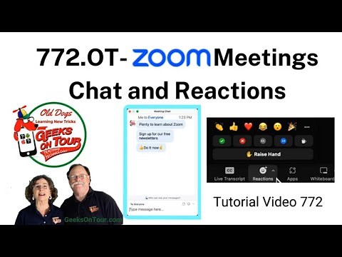 Zoom Meetings Chat and Reactions Tutorial Video 772