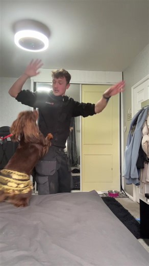 Jessie the Dancing Conga Queen