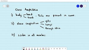 SOLVED:Which of the following statements are correct or incorrect regarding class Amphibia? (i) Has body divisible into head and trunk. Tail is present in some amphibians. (ii) Show respiration by gills, lungs and through skin. (iii) Has scales in all its members. (iv) Can lead dual life (aquatic and terrestrial). (v) Has eyelids. (a) All are correct (b) (i) and (iv) are correct (c) Only (iii) is incorrect (d) Only (ii) is incorrect.