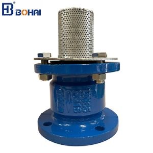 [Hot Item] Ductile Iron Silent Check Foot Valve Pn16